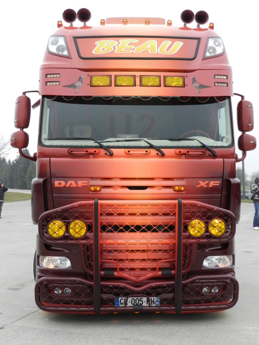 WSI 01-4509 DAF XF 105 SUPER SPACE CAB 4X2 TRANSPORTS BEAU WSI MO...